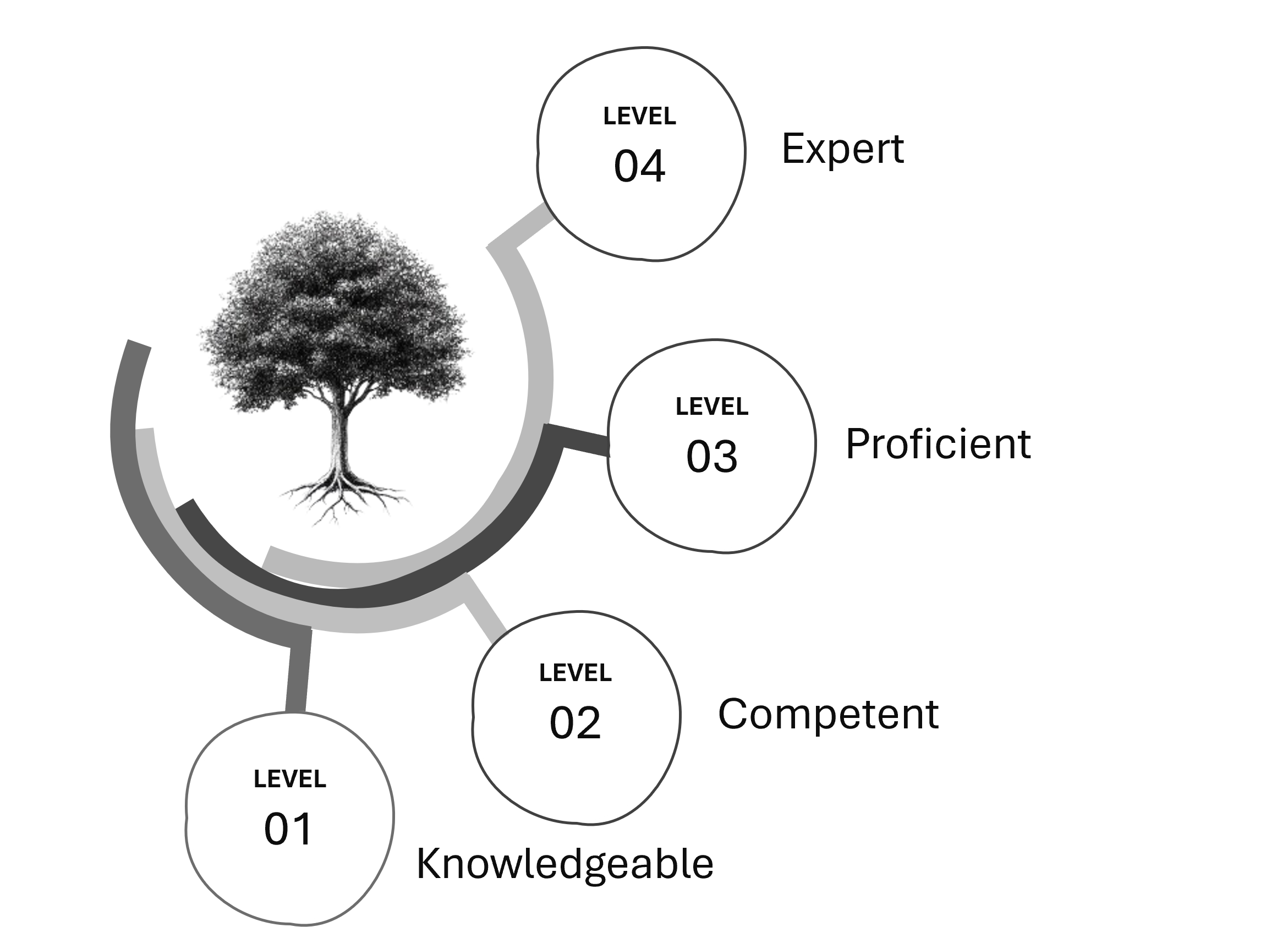 Proficiency Levels - thetalentadvantage.org